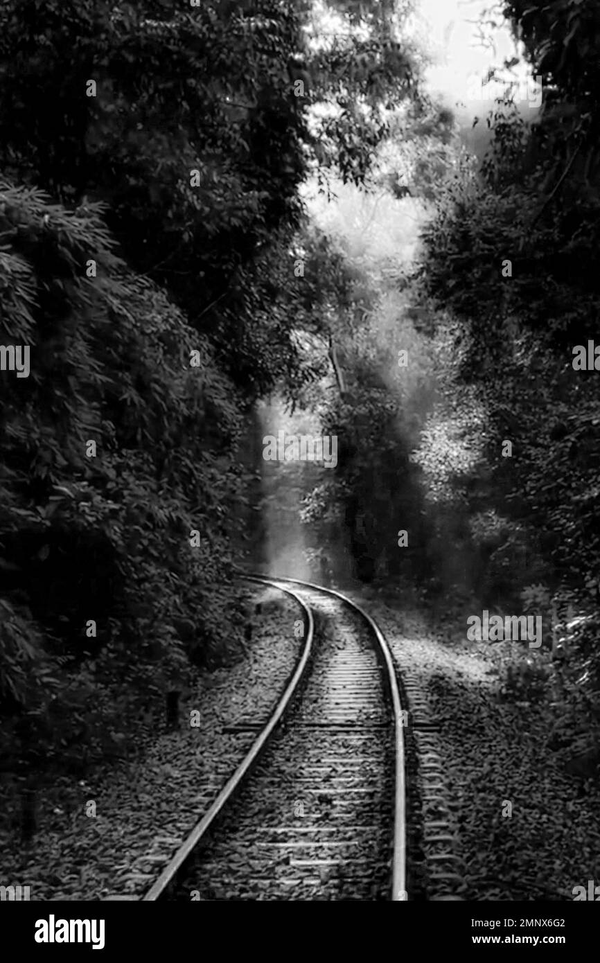 Landscape with train rails Stock Photo - Alamy