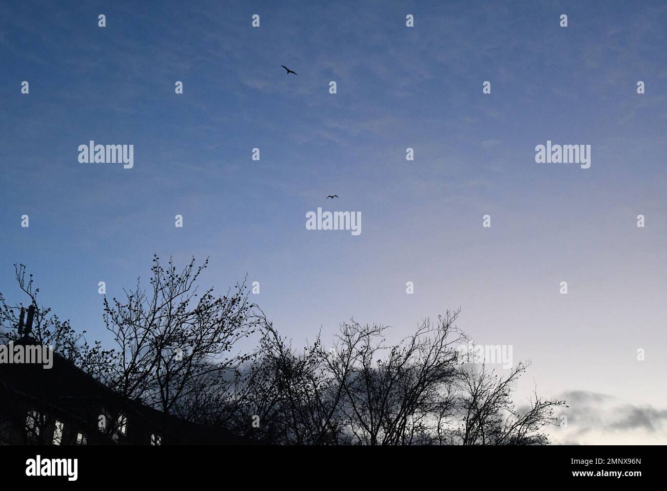 Copenhagen/Denmark/31 January 2023/ Weather cold winter morning and ...