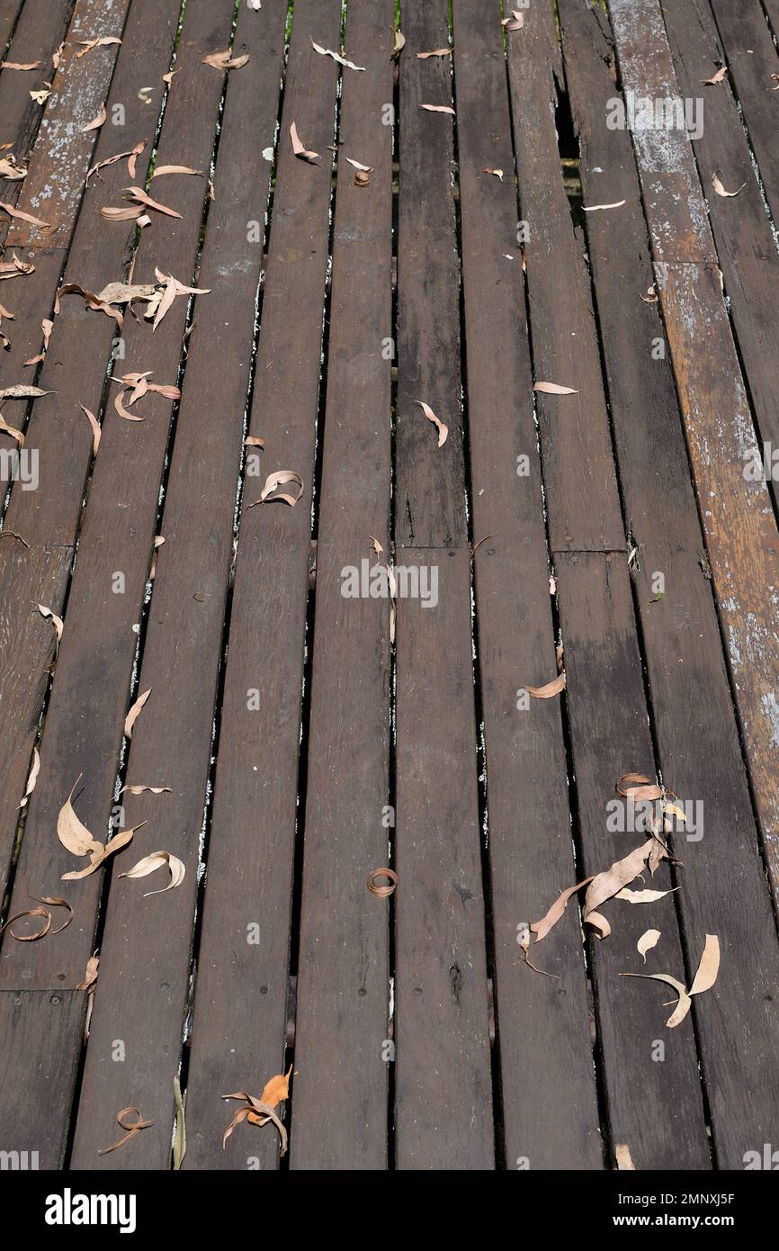 Dangerous, rotted, unvarnished, wooden decking floorboards with holes ...