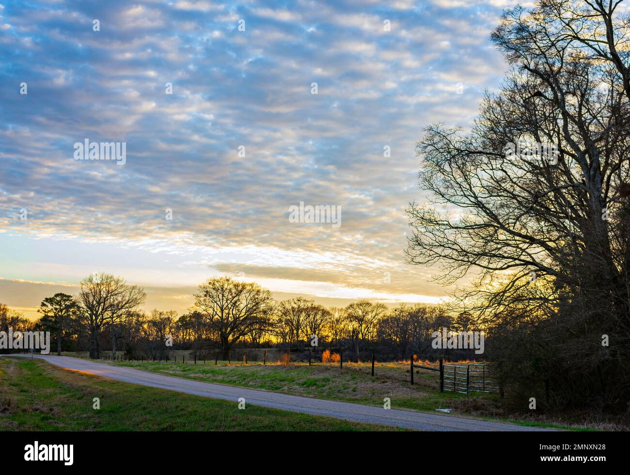 Landscape of golden hour light illuminating dramatic sky on a country ...