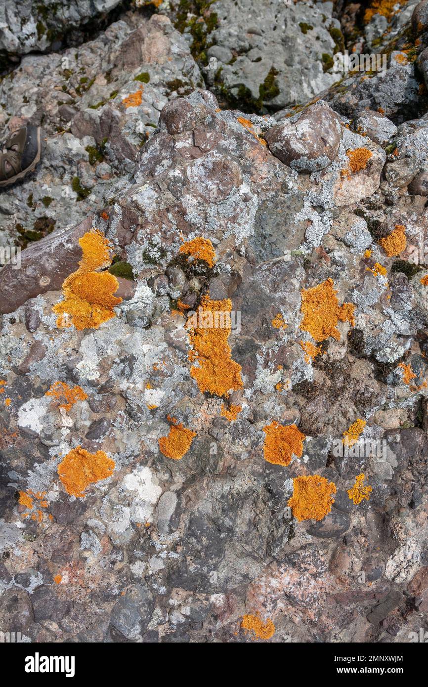 Pebbles rocks crack geology hi-res stock photography and images - Alamy