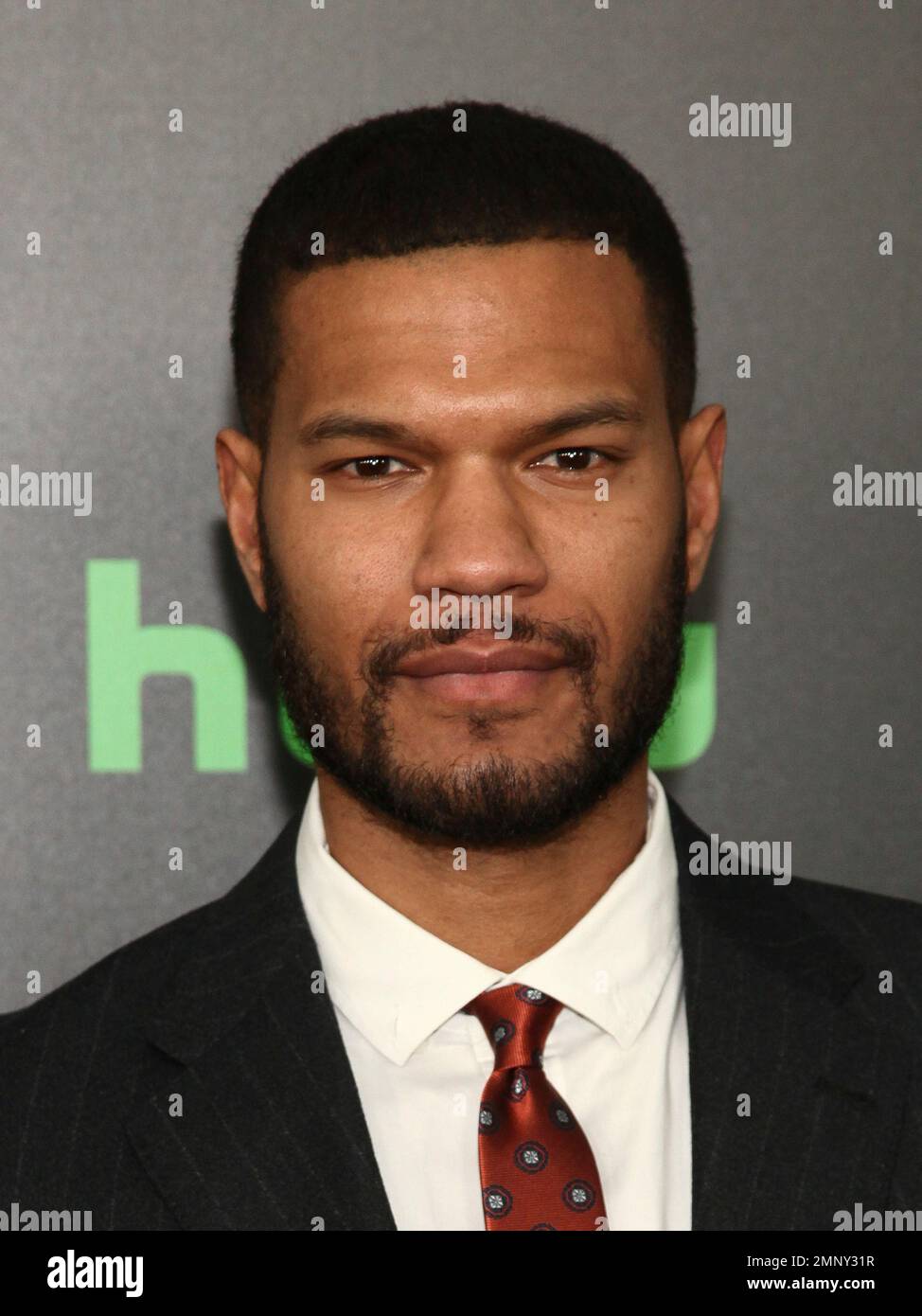 Sullivan Jones attends the premiere of Hulu's limited dramatic series ...