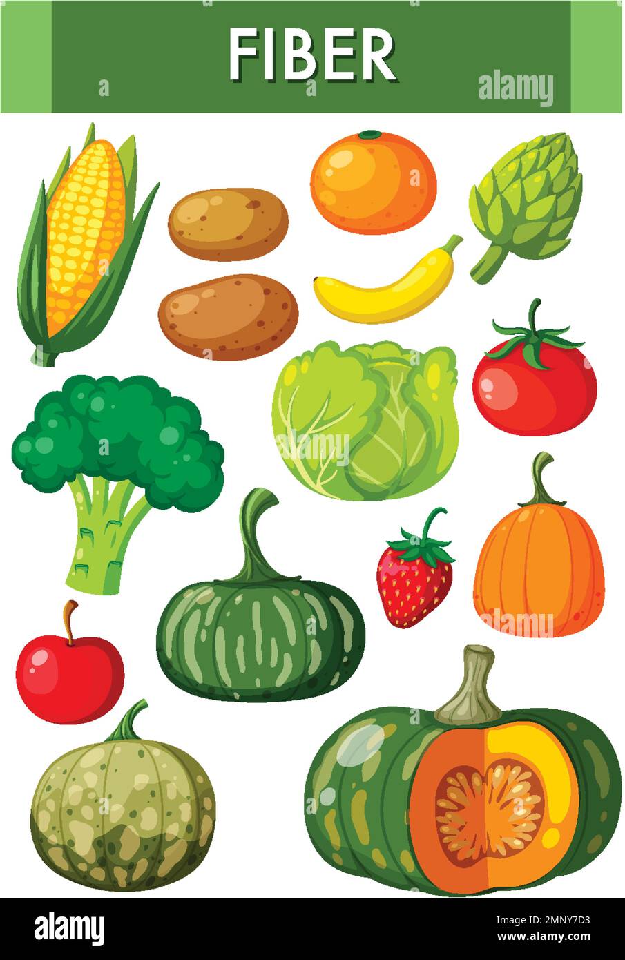 Vegetables and fruits fiber foods group illustration Stock Vector Image ...