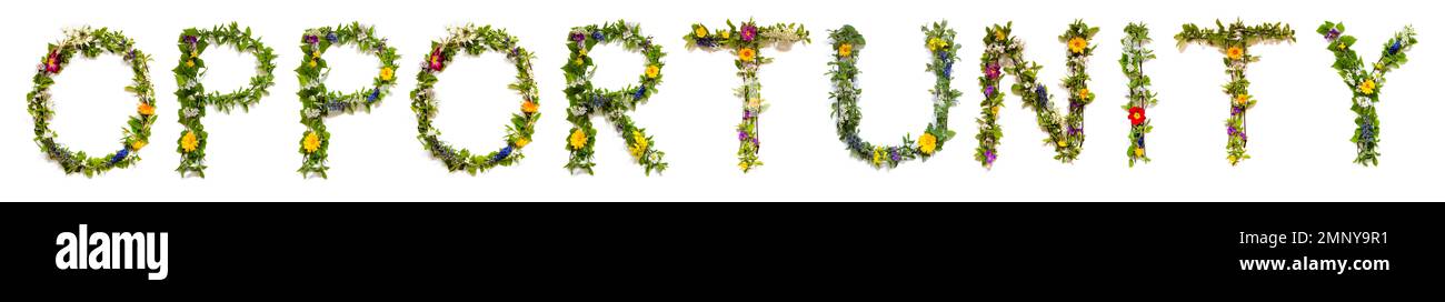 Blooming Flower Letters Building English Word Opportunity Stock Photo ...