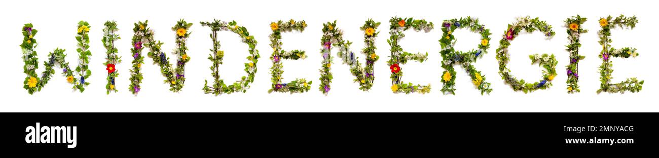 Blooming Flower Letters Building German Word Windenergie Means Wind ...