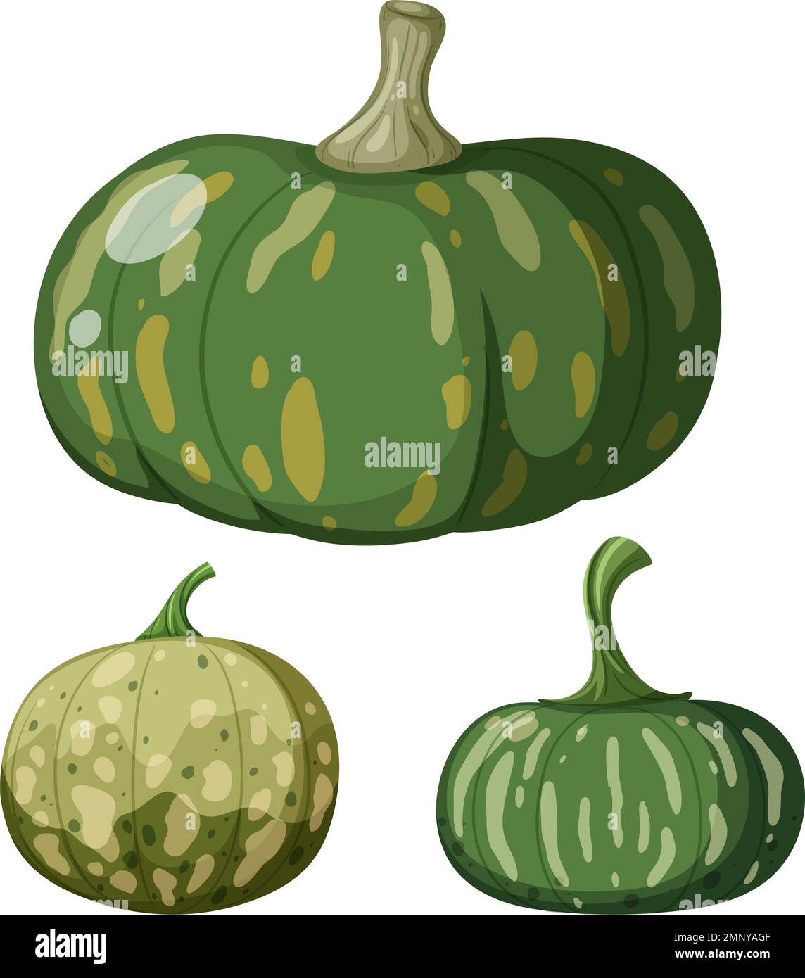 Set of green pumpkins vector illustration Stock Vector Image & Art - Alamy