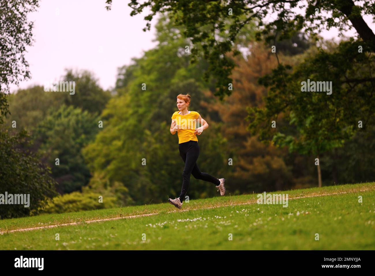 Putting the miles behind her. a woman jogging in a park Stock Photo - Alamy