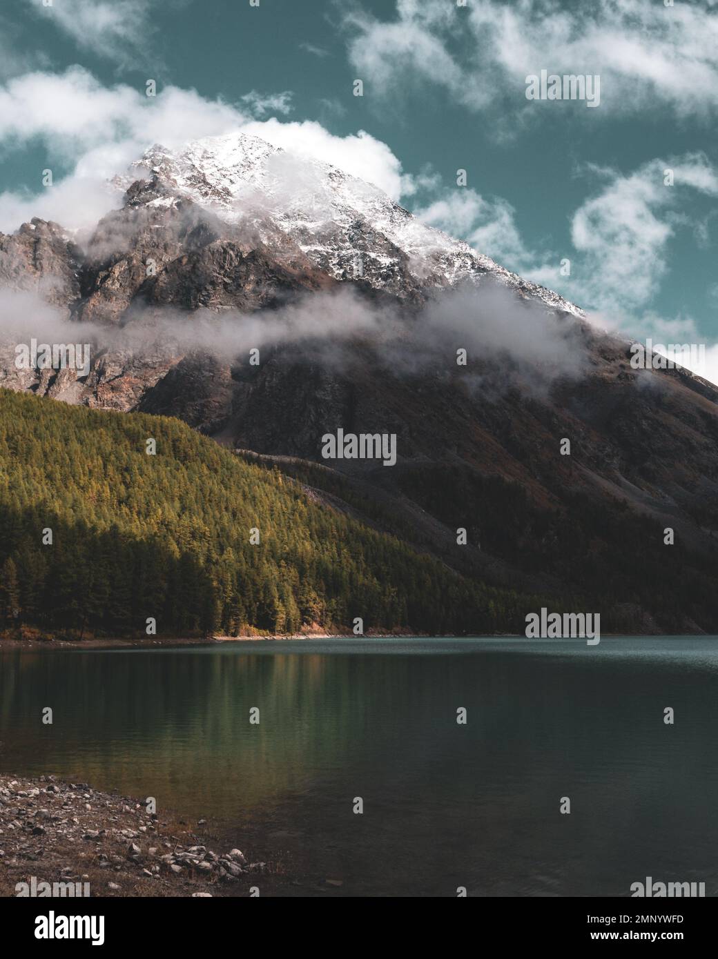 Fog leaves the tops of a mountain of spruce forest after rain on the ...