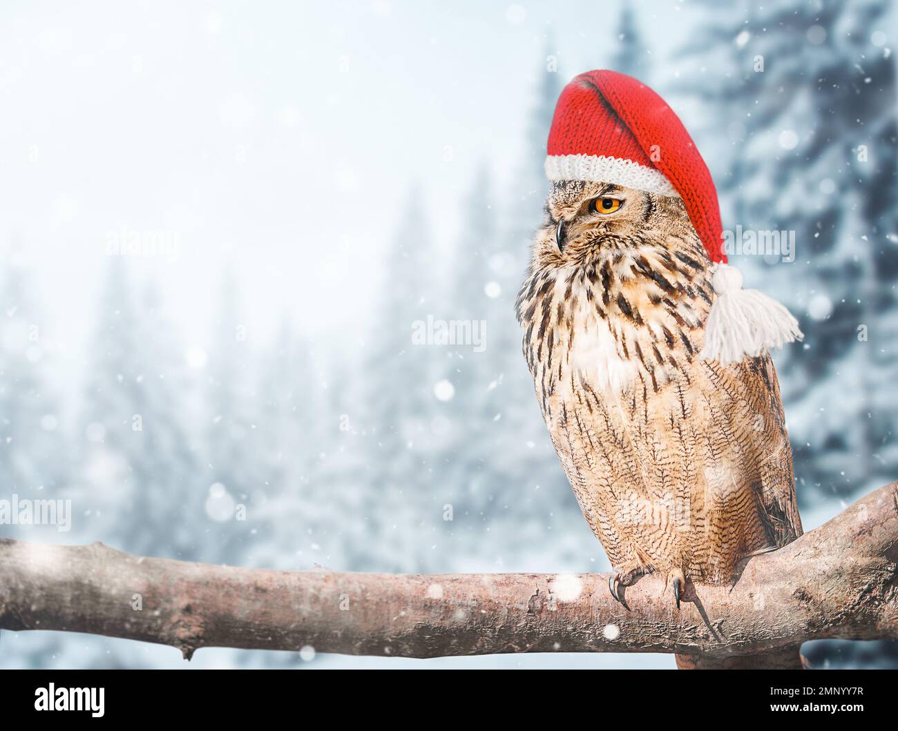 Owl hat hi-res stock photography and images - Alamy