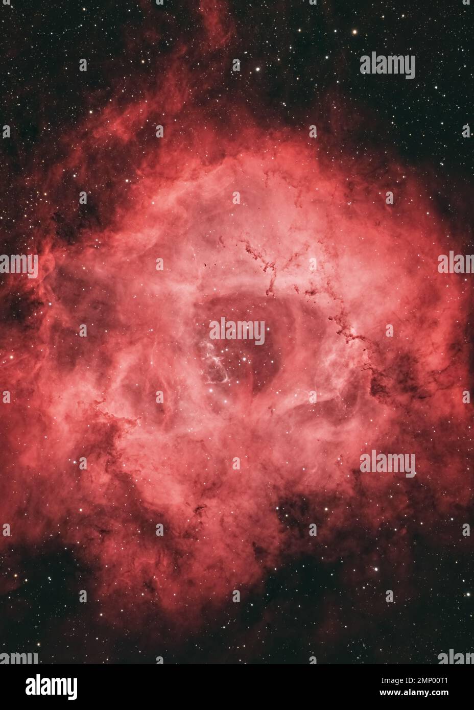 The Rosette Nebula (NGC 2244) photographed in HaRGB from the UK Stock Photo - Alamy
