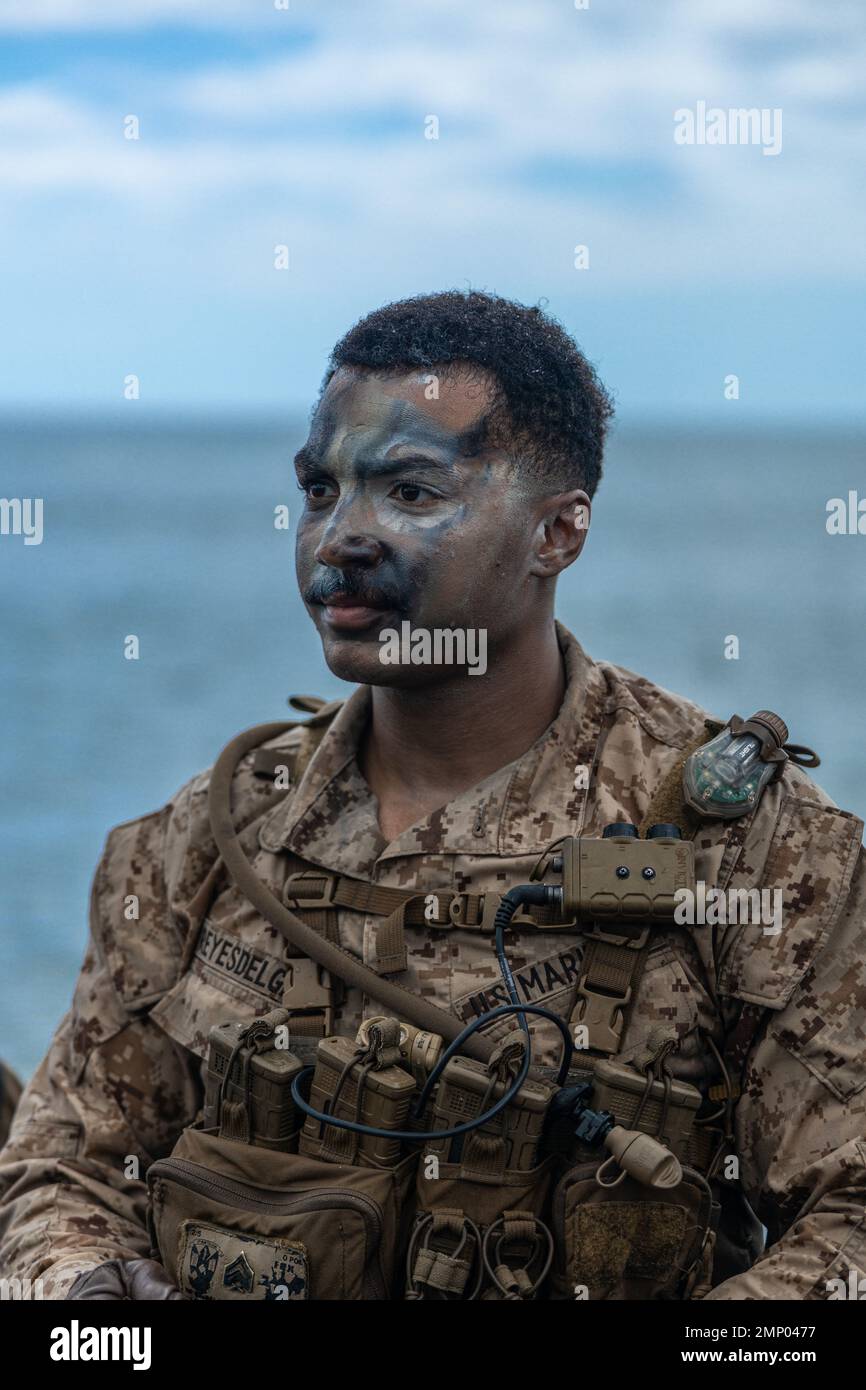 U.S. Marine Corps Sgt. Alex Reyesdelgado, a rifleman with the 31st ...