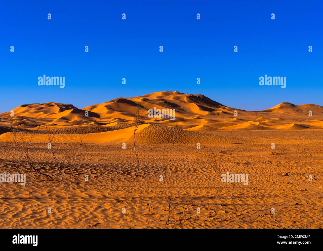 Dunes in the desert, North Africa, Metlili, Algeria Stock Photo - Alamy