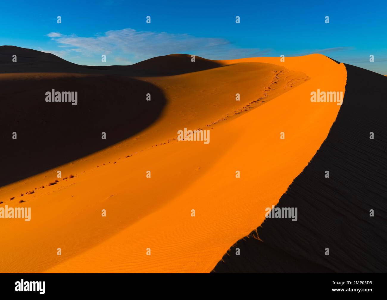 Sand dunes in the Sahara desert, North Africa, Erg Admer, Algeria Stock ...