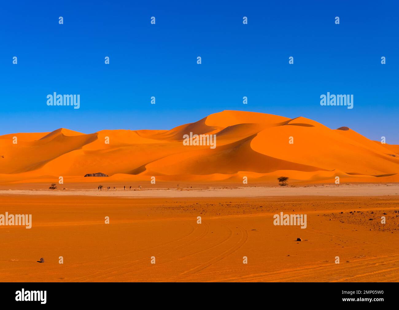 Sand dunes in the Sahara desert, Tassili N'Ajjer National Park, Tadrart ...