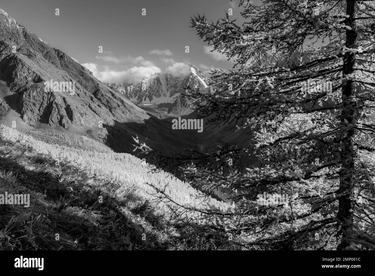 Mountain lake turquoise water forest Black and White Stock Photos ...