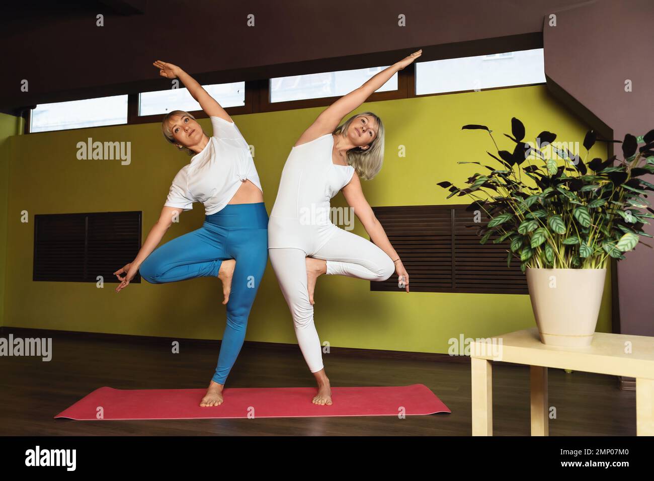 Two female yoga practitioners perform together a variation of the ...
