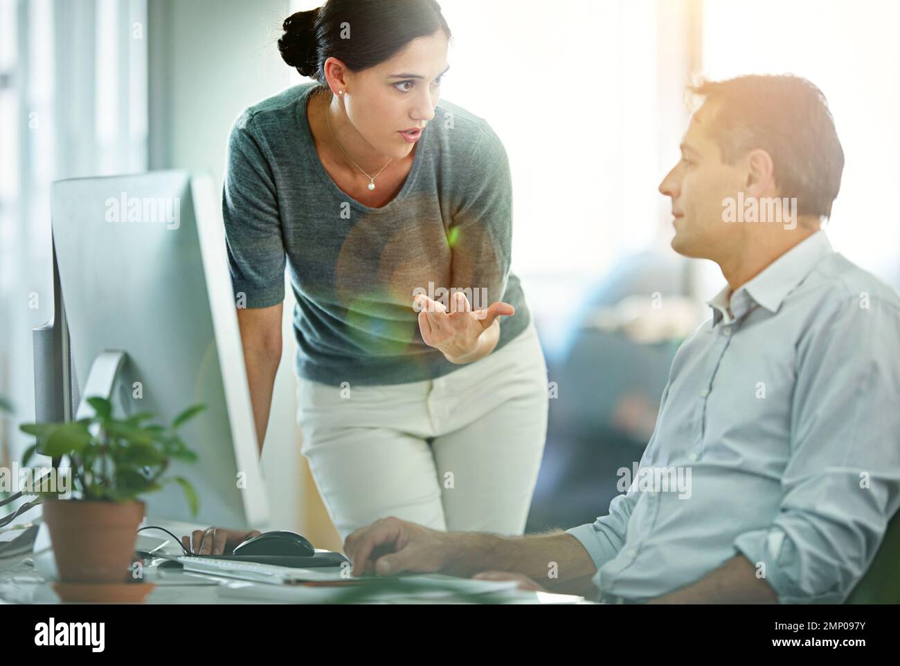 She brings fresh ideas to the project. two designers talking together ...