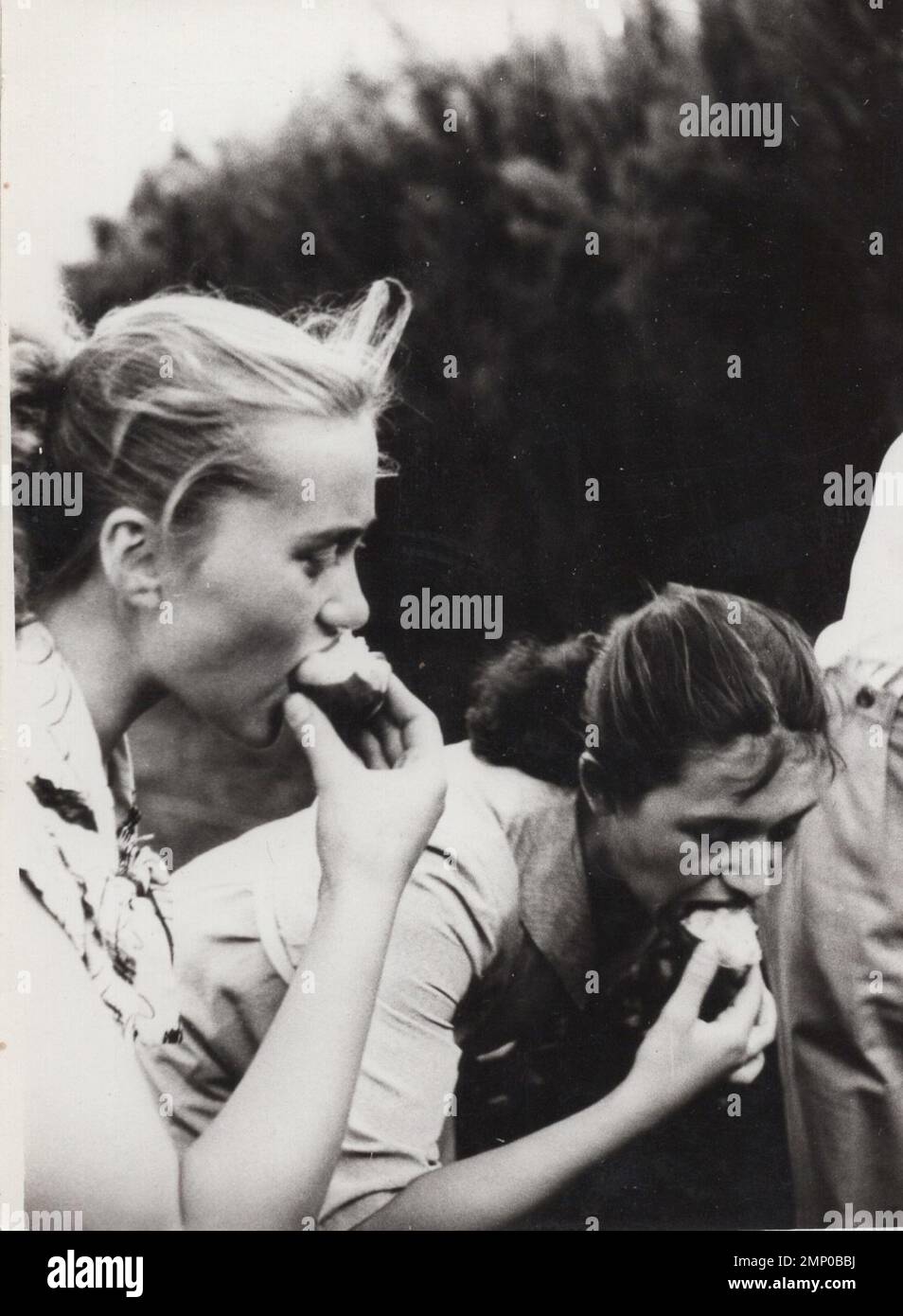 Vintage scout girls hi-res stock photography and images - Alamy