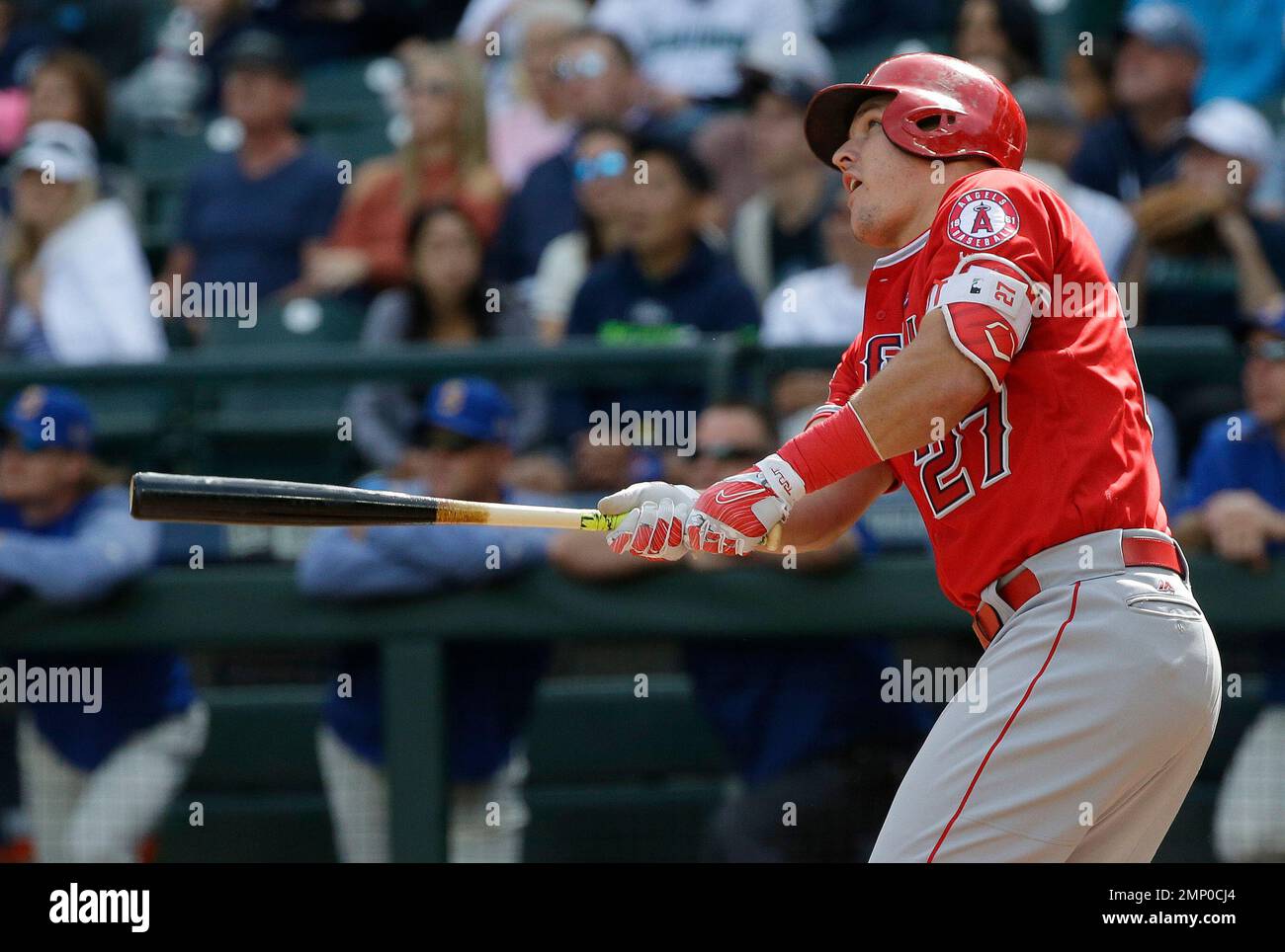 Solo Sports Ultimate Baseball Trainer