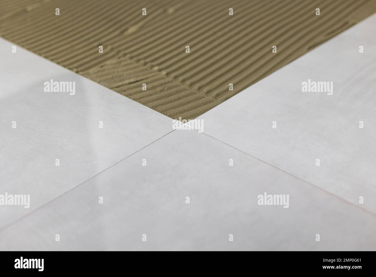 Detail of clips or spacers in the lash tile leveling system, renovation ...