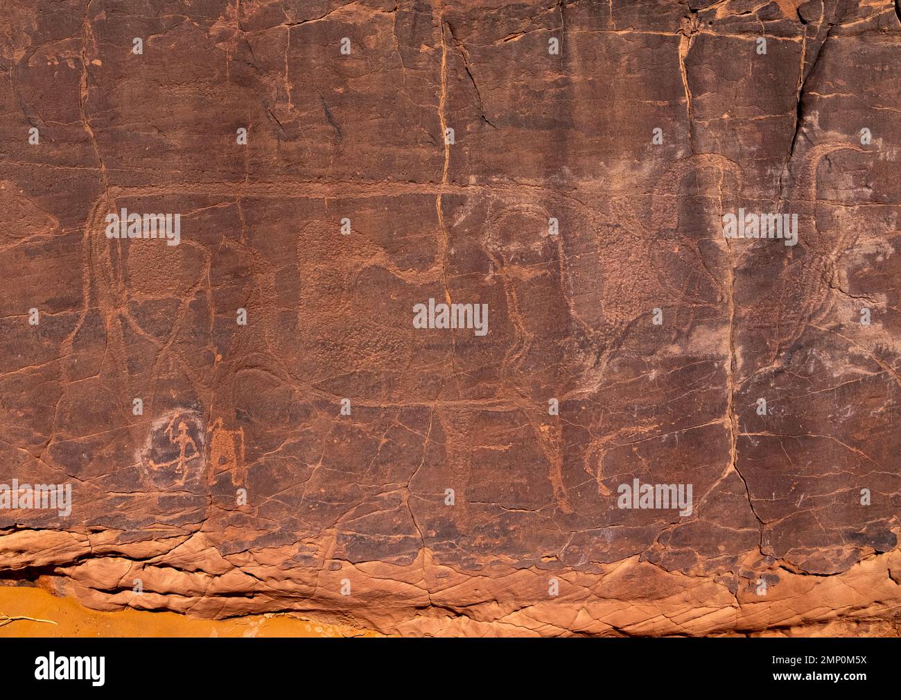 Rock carvings depicting cows, Tassili N'Ajjer National Park, Tadrart ...