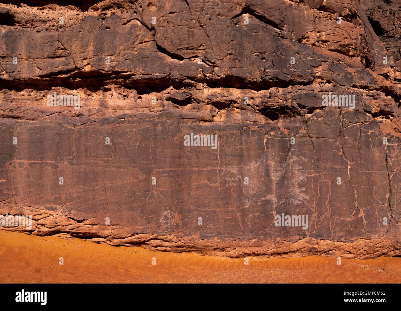 Rock carvings depicting cows, Tassili N'Ajjer National Park, Tadrart ...