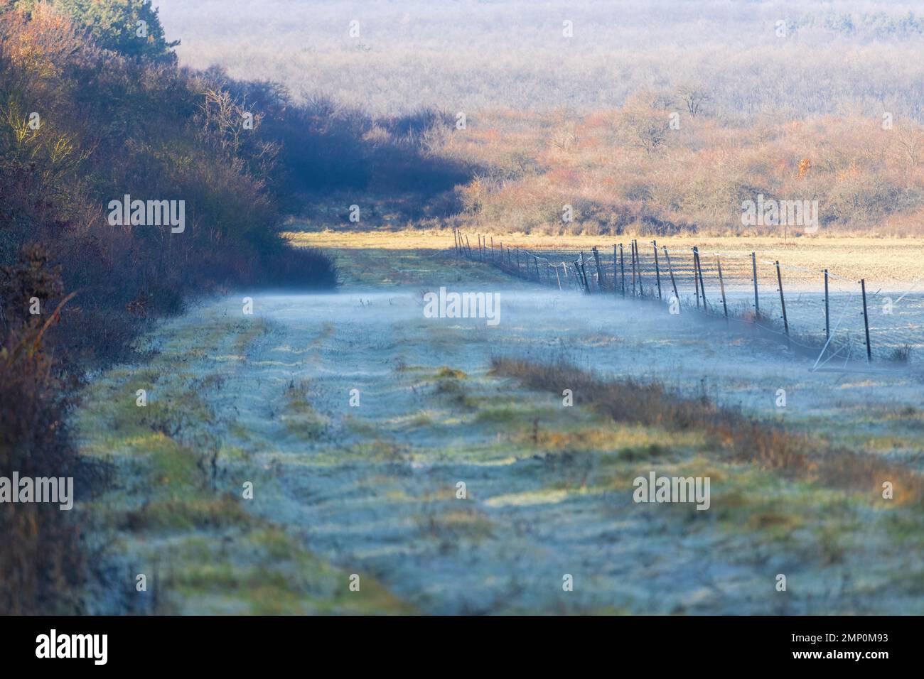 Mystical fog atmosphere hi-res stock photography and images - Alamy