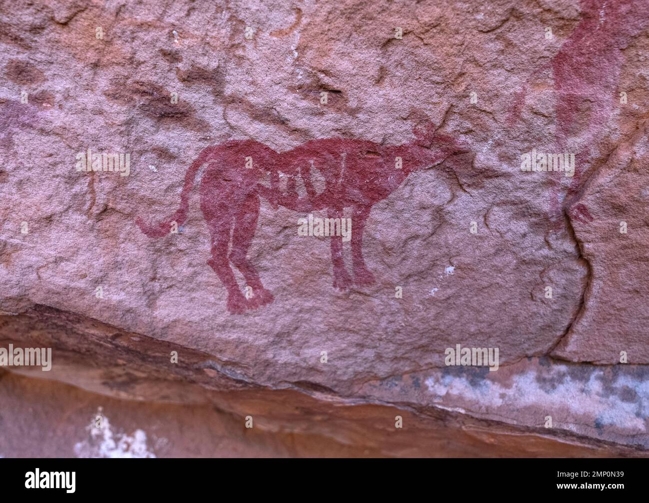 Rock painting depicting a dog, Tassili N'Ajjer National Park, Tadrart ...