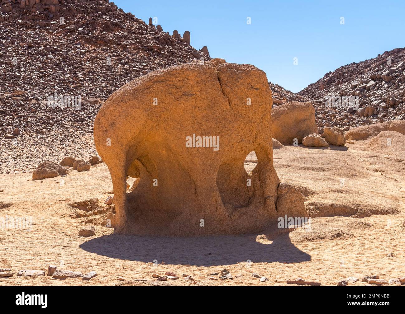 Rock formation in the desert with the sahpe of an elephant, North ...