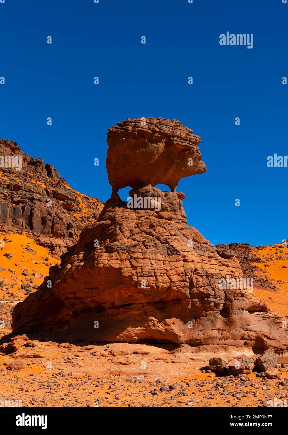 Rock formation in the desert with hedgehog shape, Tassili N'Ajjer ...