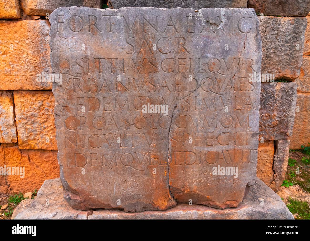 Inscriptions along Cardo Maximus in Tiddis Roman Ruins, North Africa ...