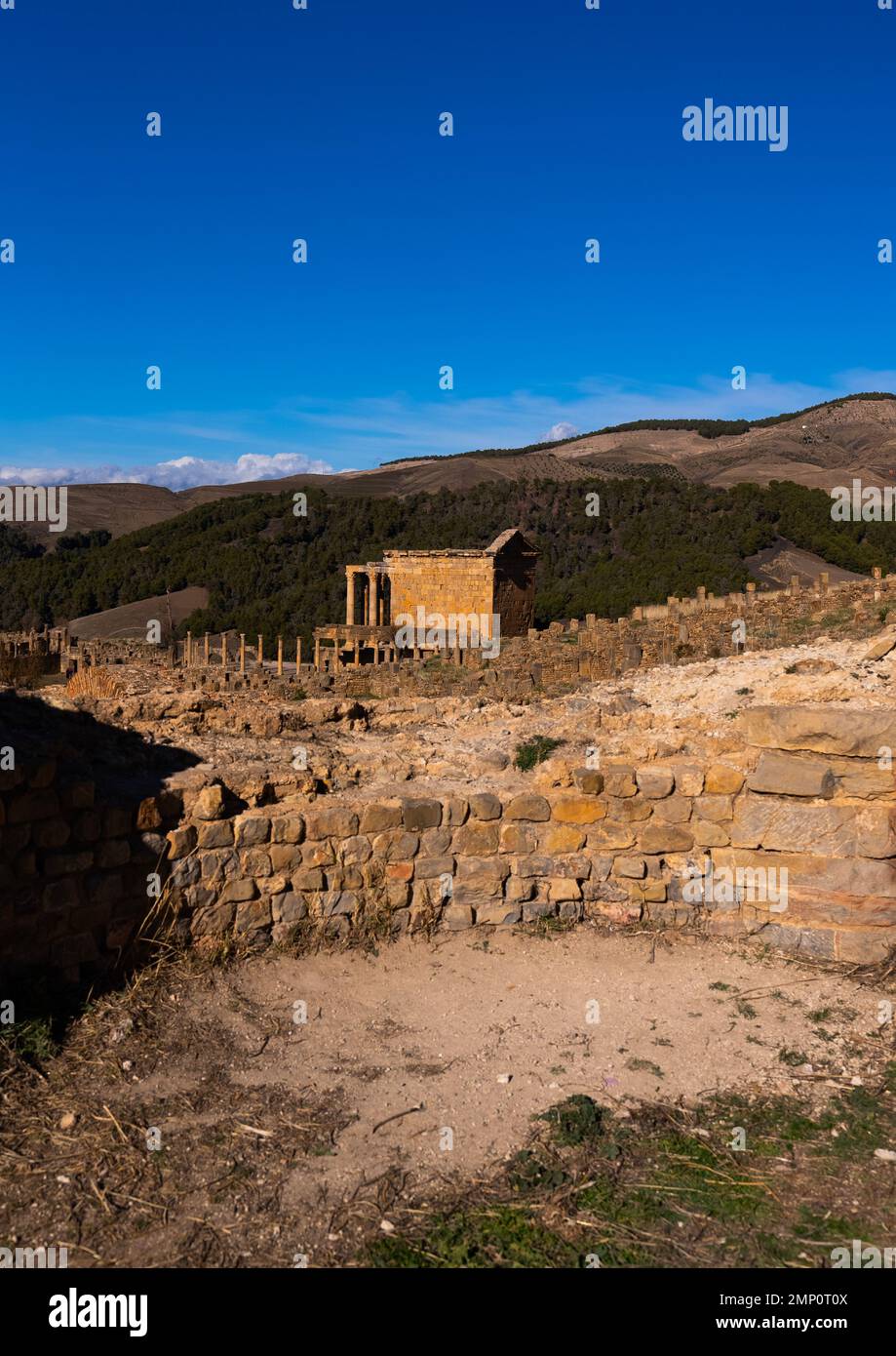 The Roman ruins of Djemila, North Africa, Djemila, Algeria Stock Photo ...