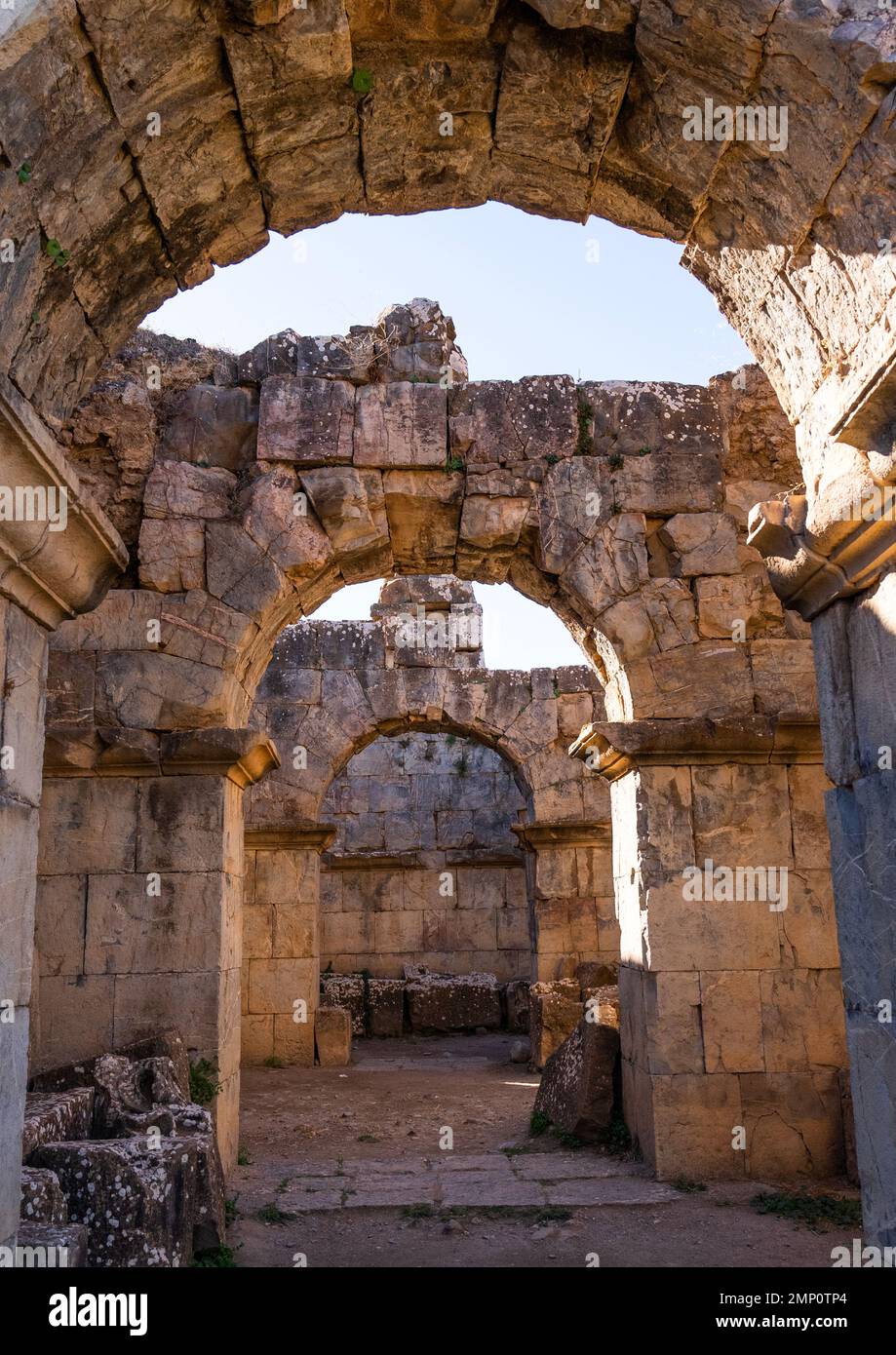 The Roman ruins of Djemila, North Africa, Djemila, Algeria Stock Photo ...