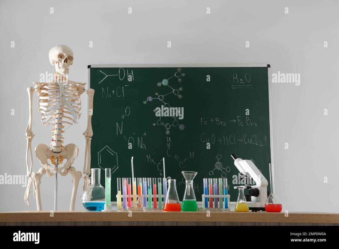Skeleton and different chemistry glassware in classroom Stock Photo - Alamy