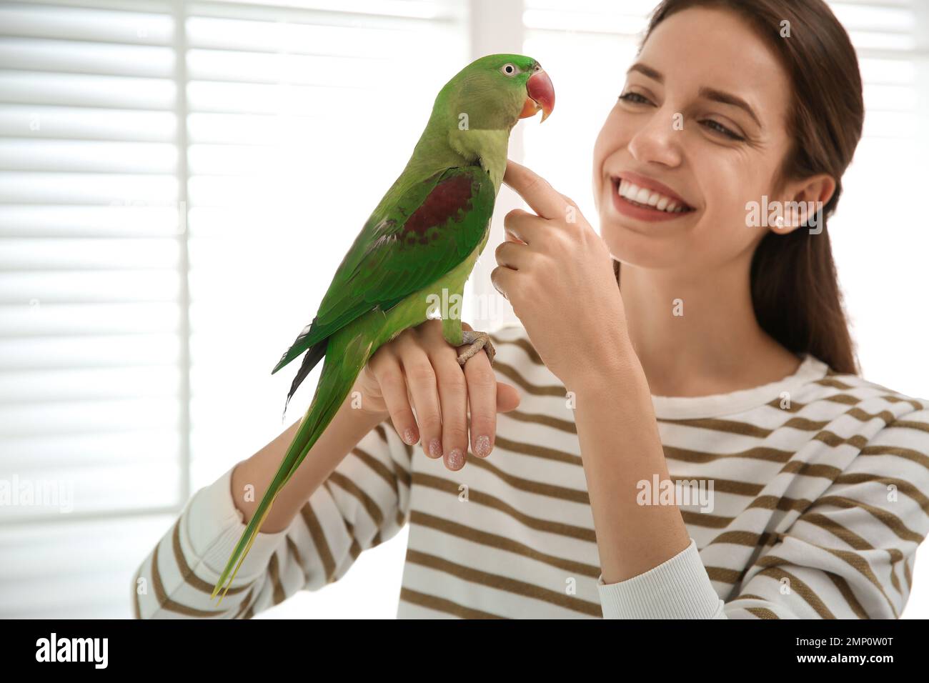 Young woman with cute Alexandrine parakeet indoors Stock Photo - Alamy