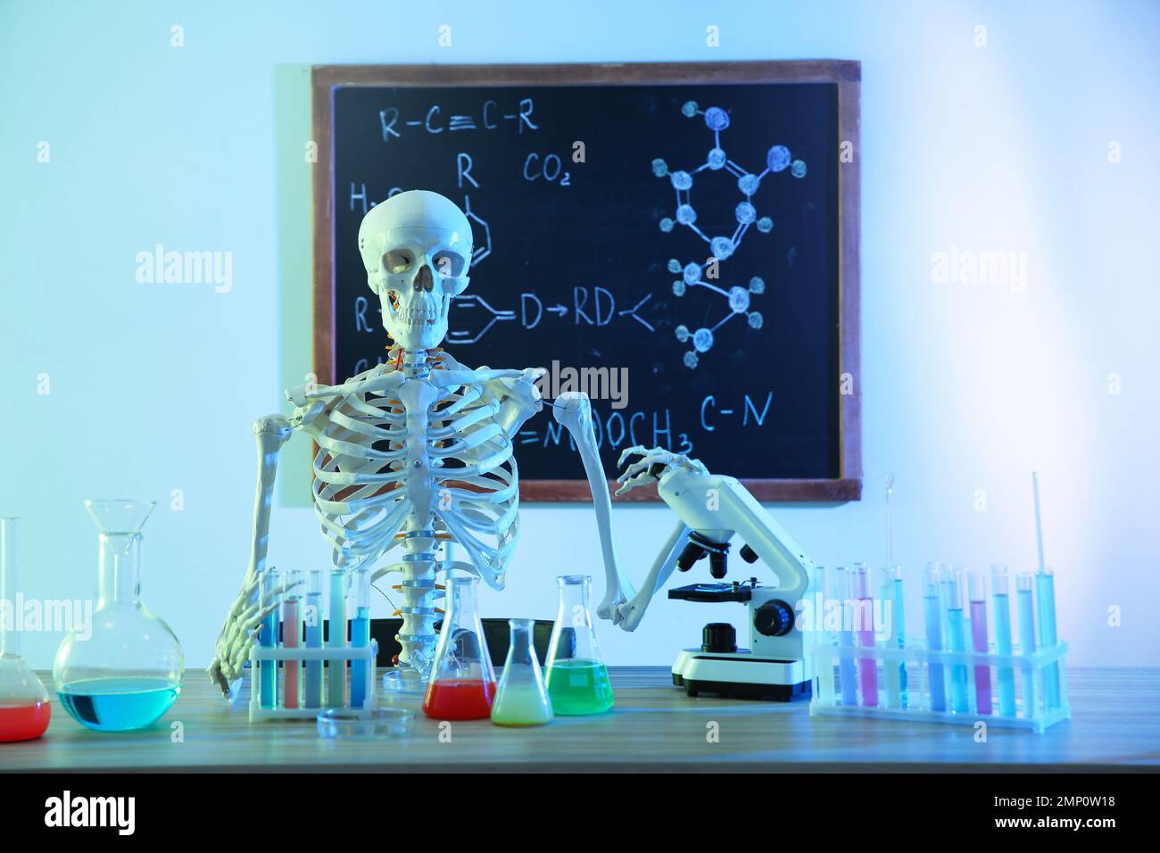 Skeleton and different chemistry glassware in classroom, toned in blue ...