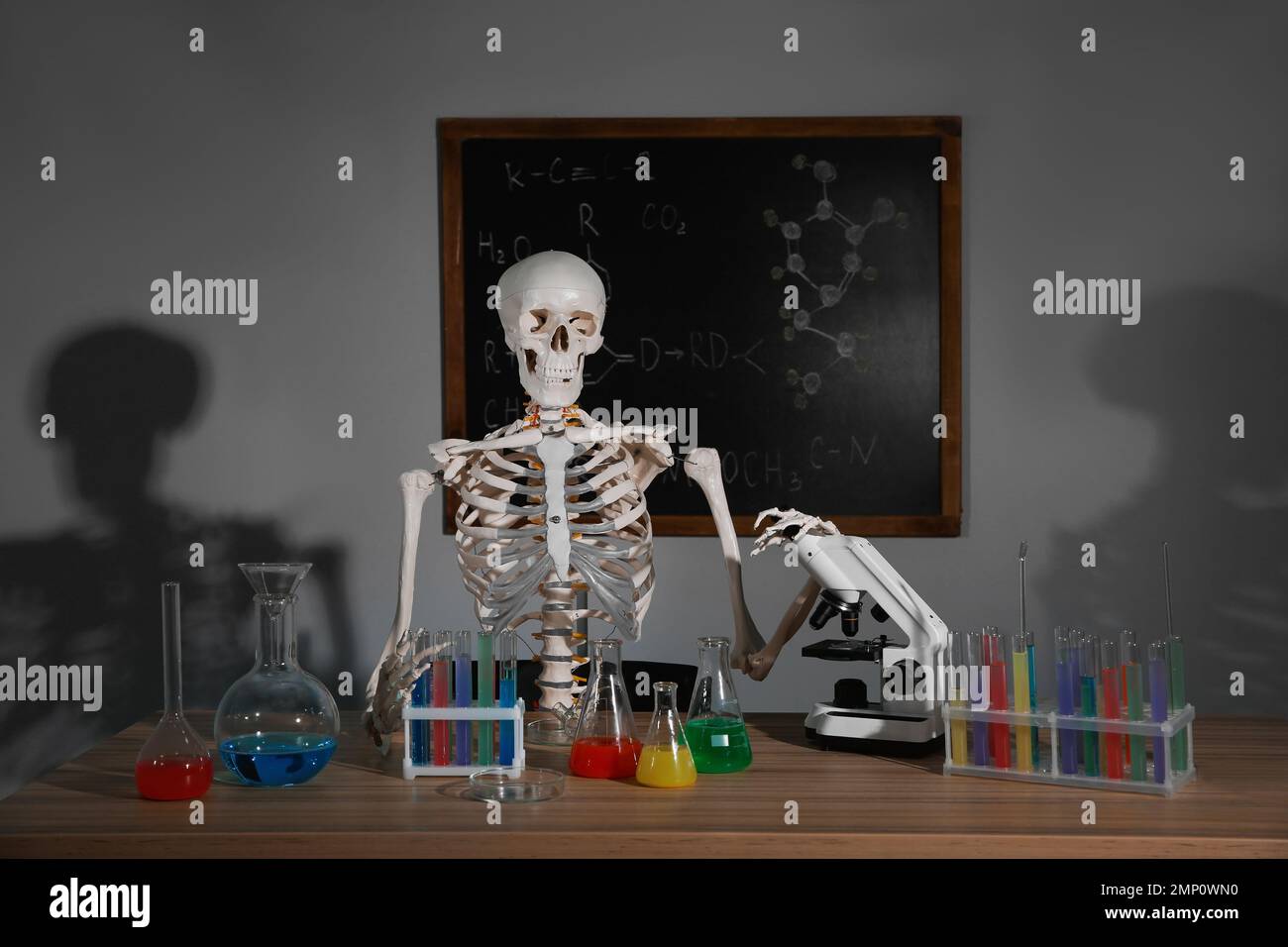 Skeleton and different chemistry glassware in classroom Stock Photo - Alamy