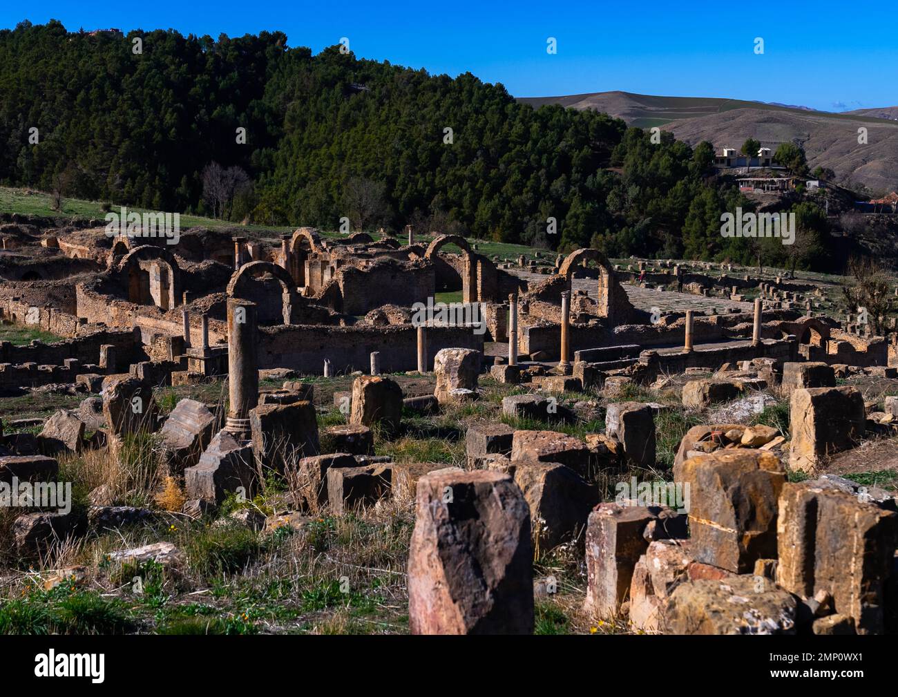 The Roman ruins of Djemila, North Africa, Djemila, Algeria Stock Photo ...