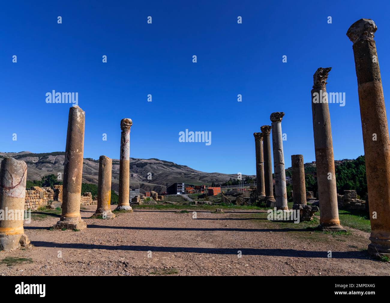 The Roman ruins of Djemila, North Africa, Djemila, Algeria Stock Photo ...