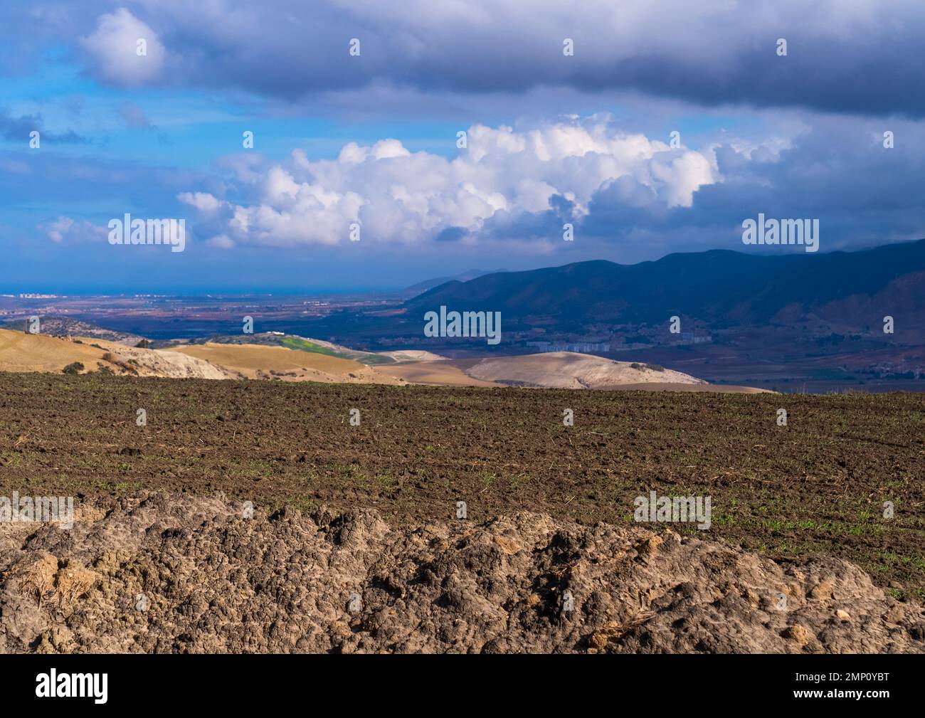 Fields in a farm, North Africa, Oran, Algeria Stock Photo - Alamy