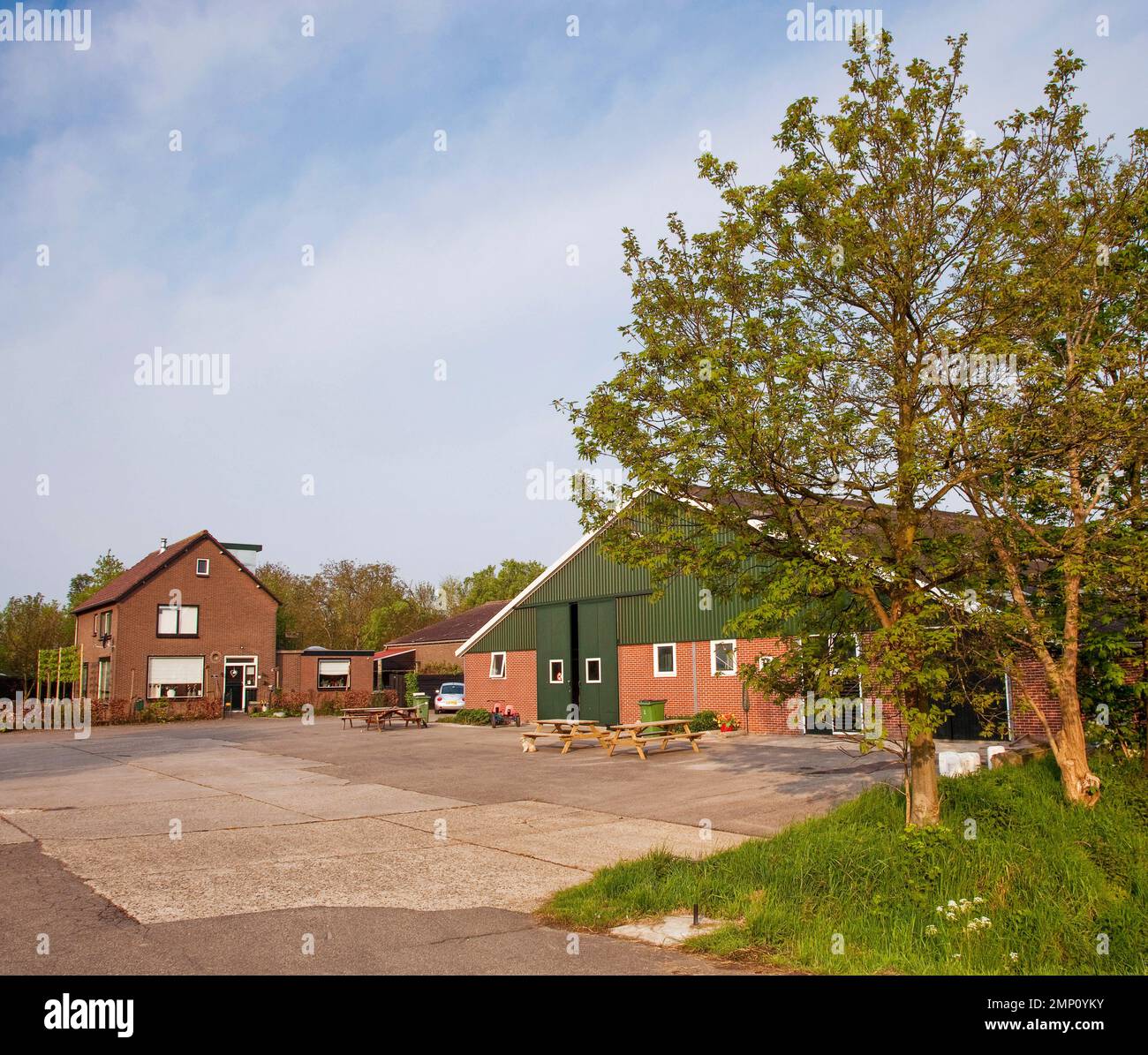 Cow shed hi-res stock photography and images - Alamy