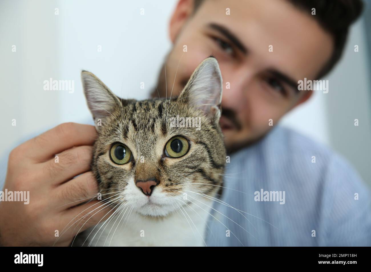 Happy man with cat at home. Friendly pet Stock Photo - Alamy