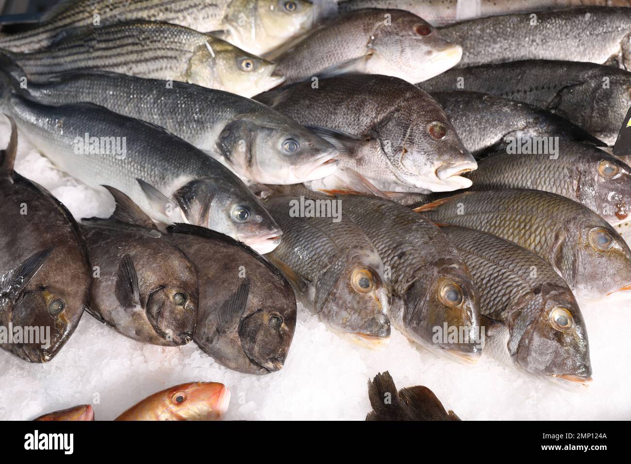 Different types of fresh fish on ice in supermarket Stock Photo - Alamy