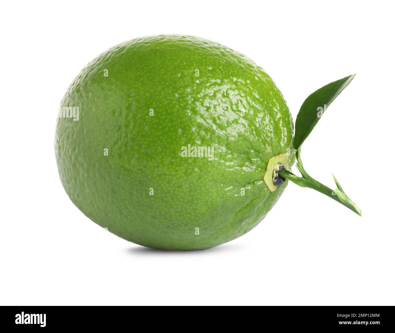 Fresh ripe lime with green leaf isolated on white Stock Photo - Alamy