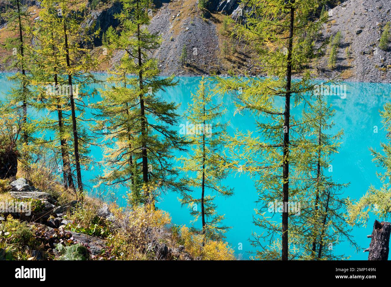 Steep lake bank hi-res stock photography and images - Alamy