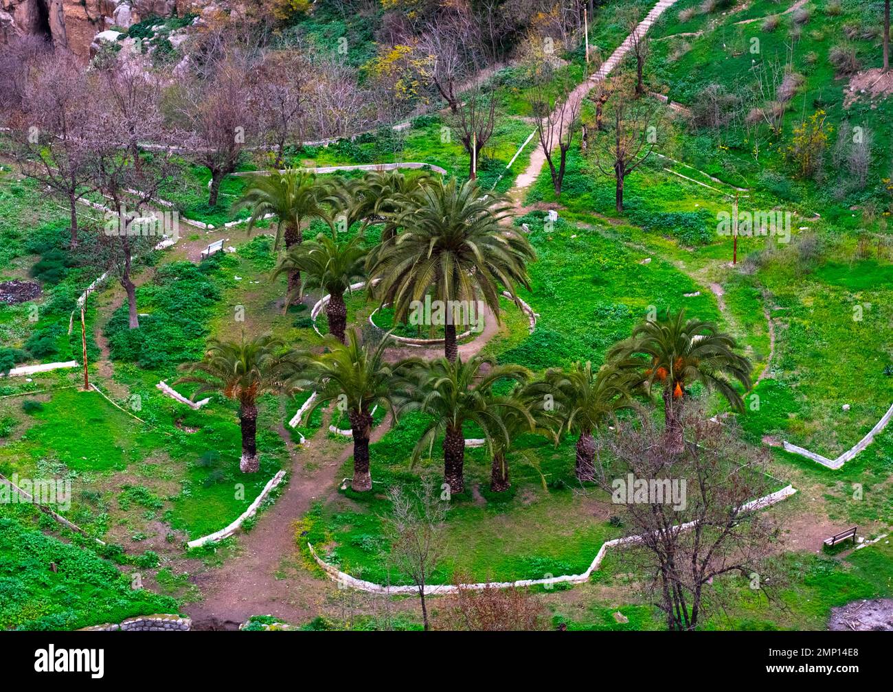 Garden with palm trees, North Africa, Constantine, Algeria Stock Photo ...
