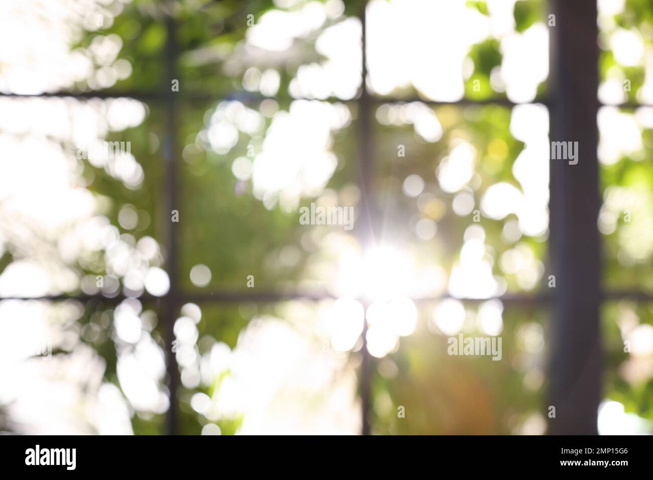 Blurred view through window on garden in morning Stock Photo - Alamy