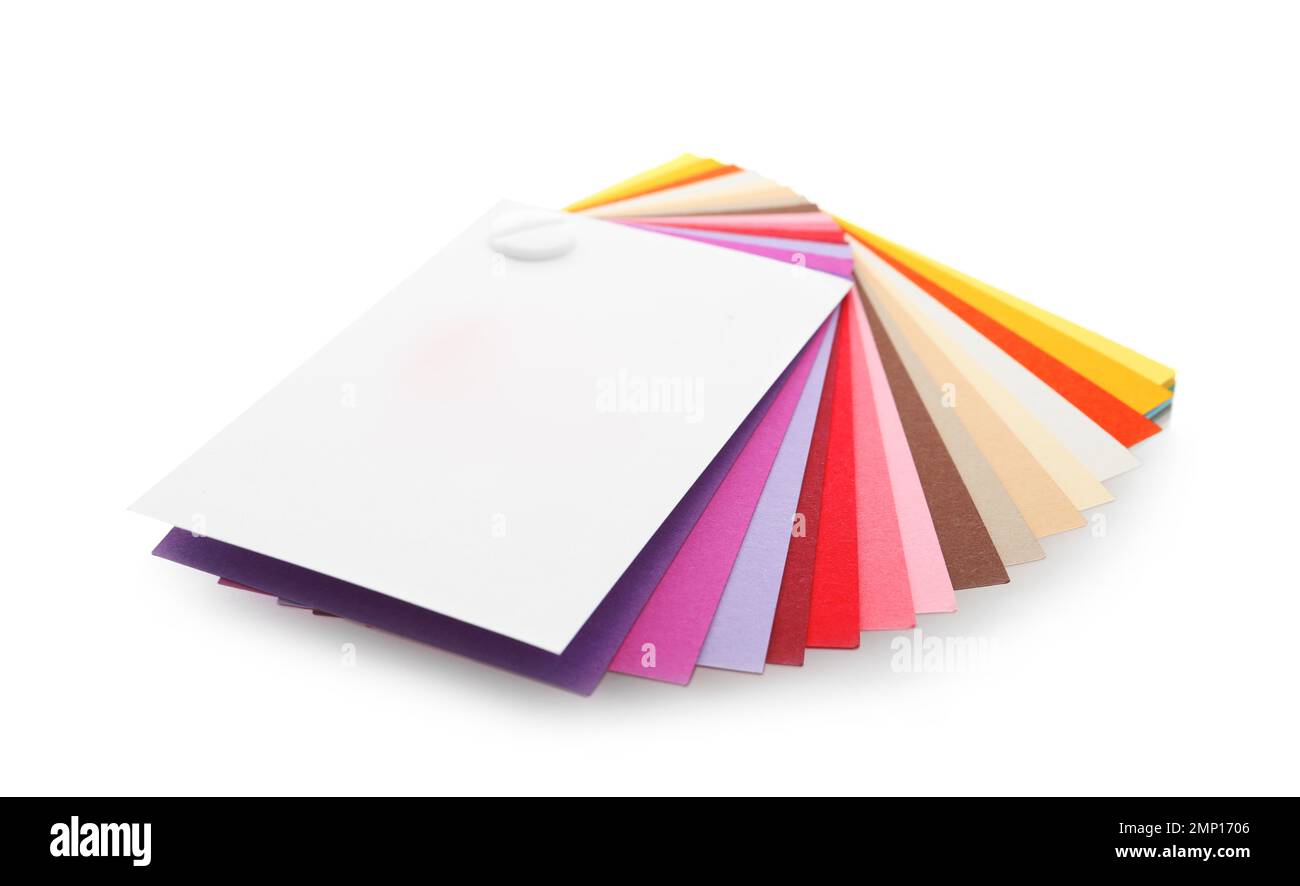 Color palette isolated on white. Professional samples Stock Photo - Alamy