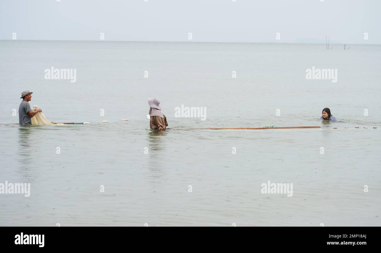 22 January 2023- Chumphon Thailand fishermen fish with nets in shallow ...