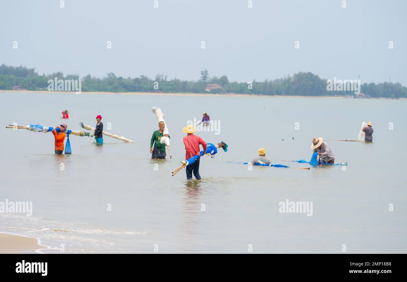22 January 2023- Chumphon Thailand fishermen fish with nets in shallow ...
